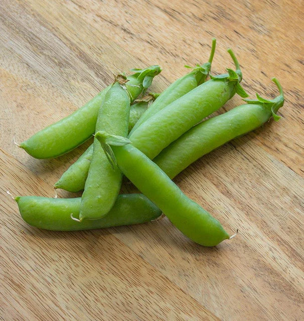 West Coast Seeds (Tricolour Bean Blend) | Urban Grow Garden Supply