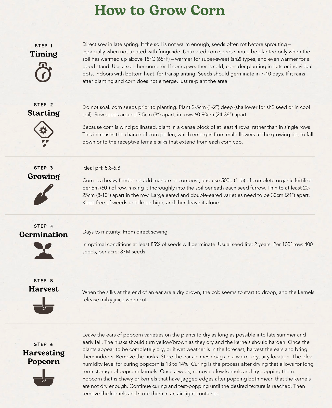 West Coast Seeds (Tricolour Bean Blend) | Urban Grow Garden Supply