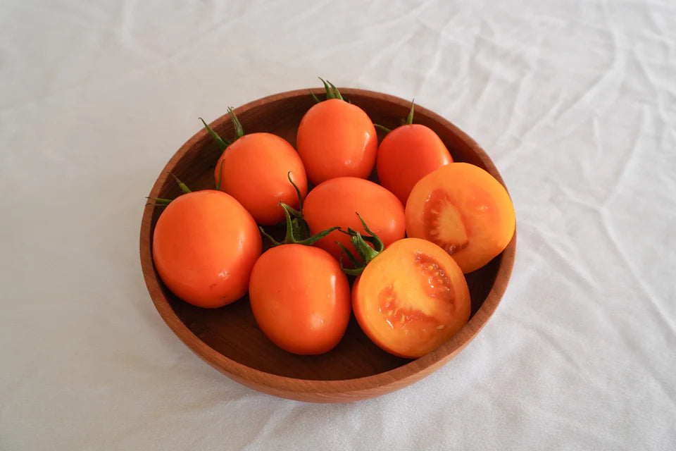 West Coast Seeds (Tricolour Bean Blend) | Urban Grow Garden Supply